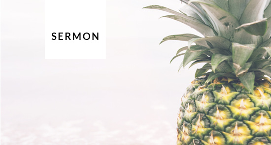The Pineapple Story
