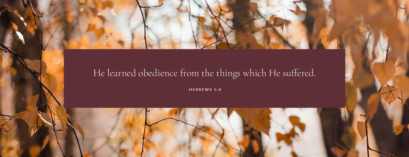 Learning Obedience